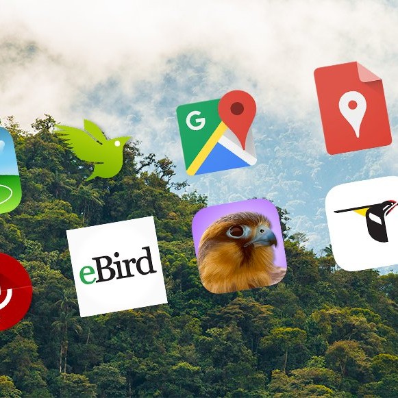 Jeffrey Jian | Professional Portfolio